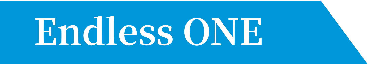 Home - Endless Industries